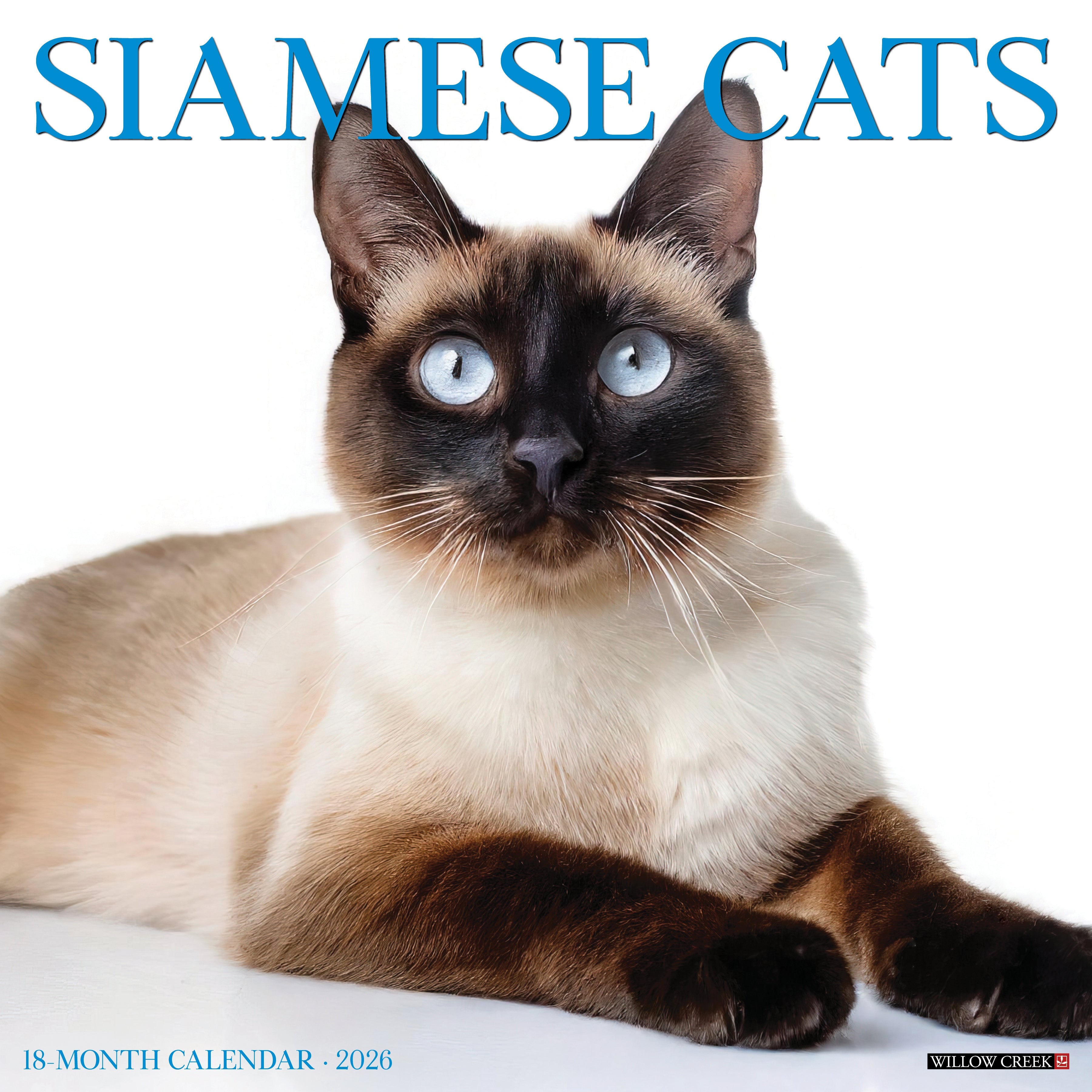 2026 Siamese Cats - Square Wall Calendar